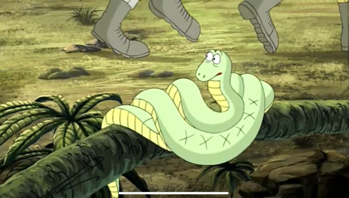 African bush viper | Animals Wiki | Fandom