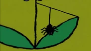 European Garden Spider | Animals Wiki | Fandom