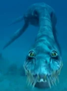 Styxosaurus | Animals Wiki | Fandom