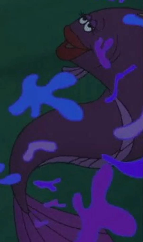 Wolf Eel | Animals Wiki | Fandom