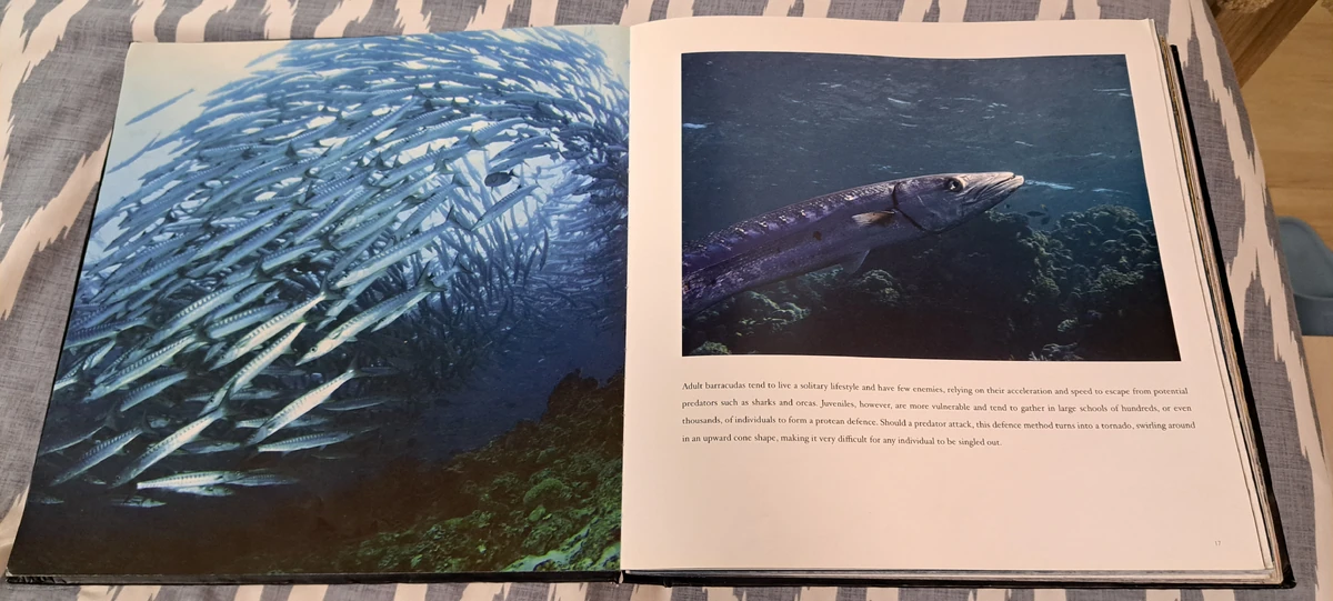 List of Species in Deadly Oceans | Animals Wiki | Fandom