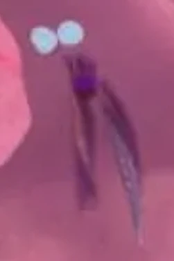 Spectral Bat | Animals Wiki | Fandom