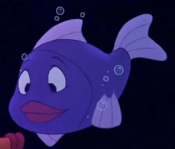 New Zealand Demoiselle | Animals Wiki | Fandom