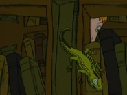 List of Species from Jumanji | Animals Wiki | Fandom