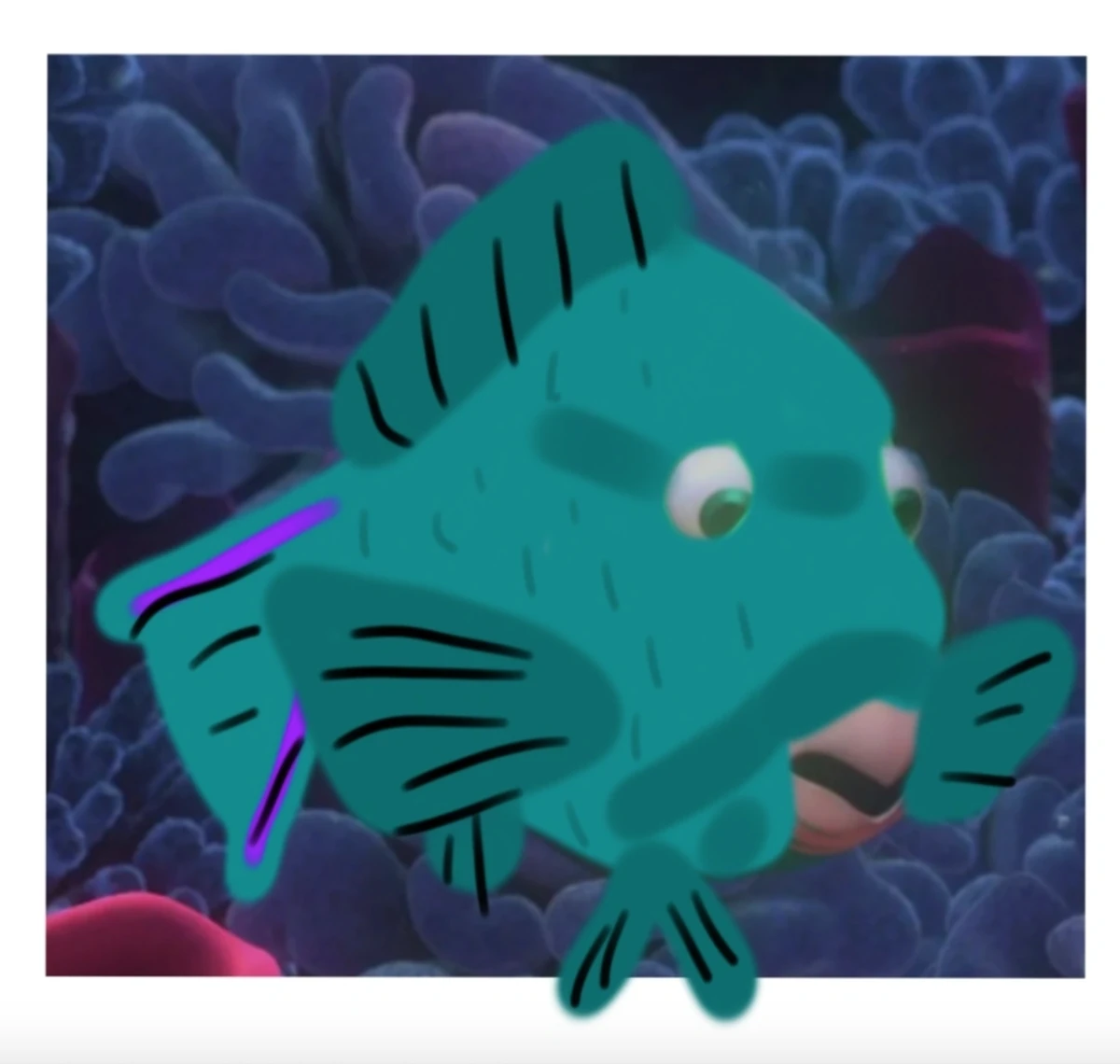 Queen Parrotfish | Animals Wiki | Fandom