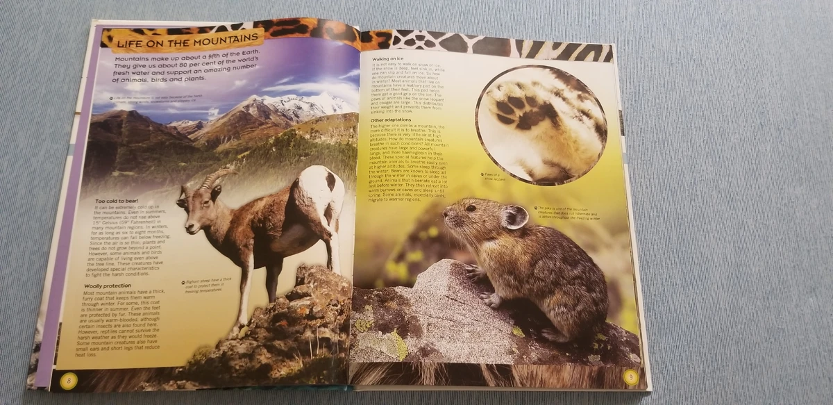 List of Species in Encyclopedia of Animals A Complete to Animals ...