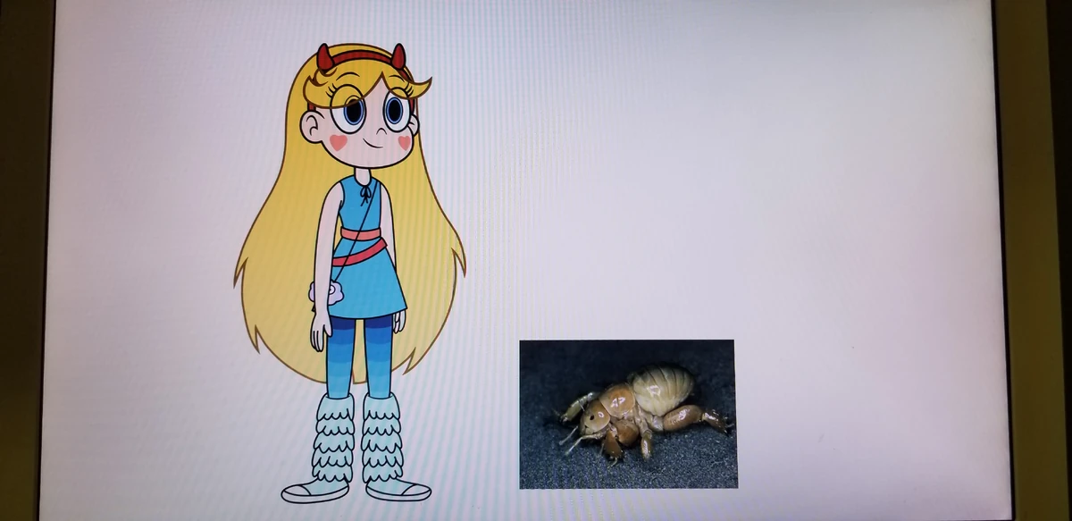 Cooloola Monster | Animals Wiki | Fandom