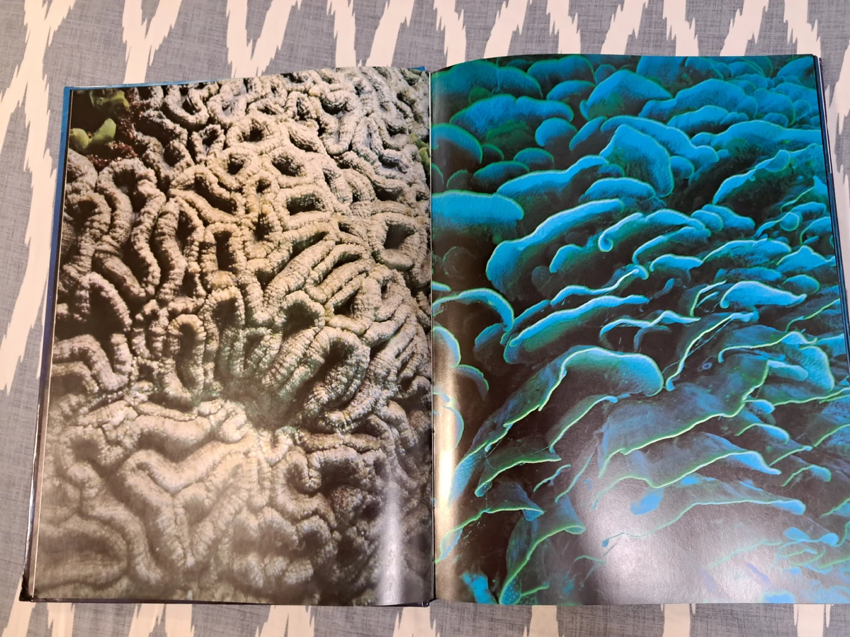 List of Species in Atlantis 1991 Book | Animals Wiki | Fandom