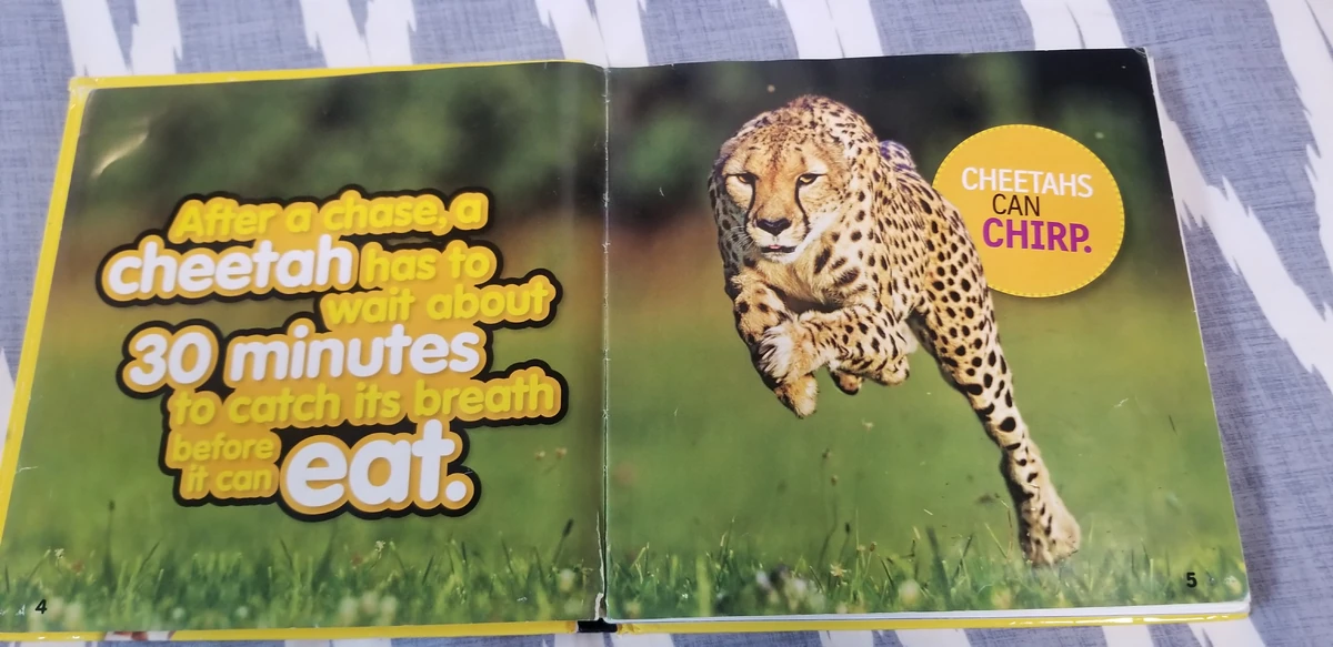 List of Species in Weird But True Animals | Animals Wiki | Fandom