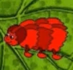 Red Slug | Animals Wiki | Fandom