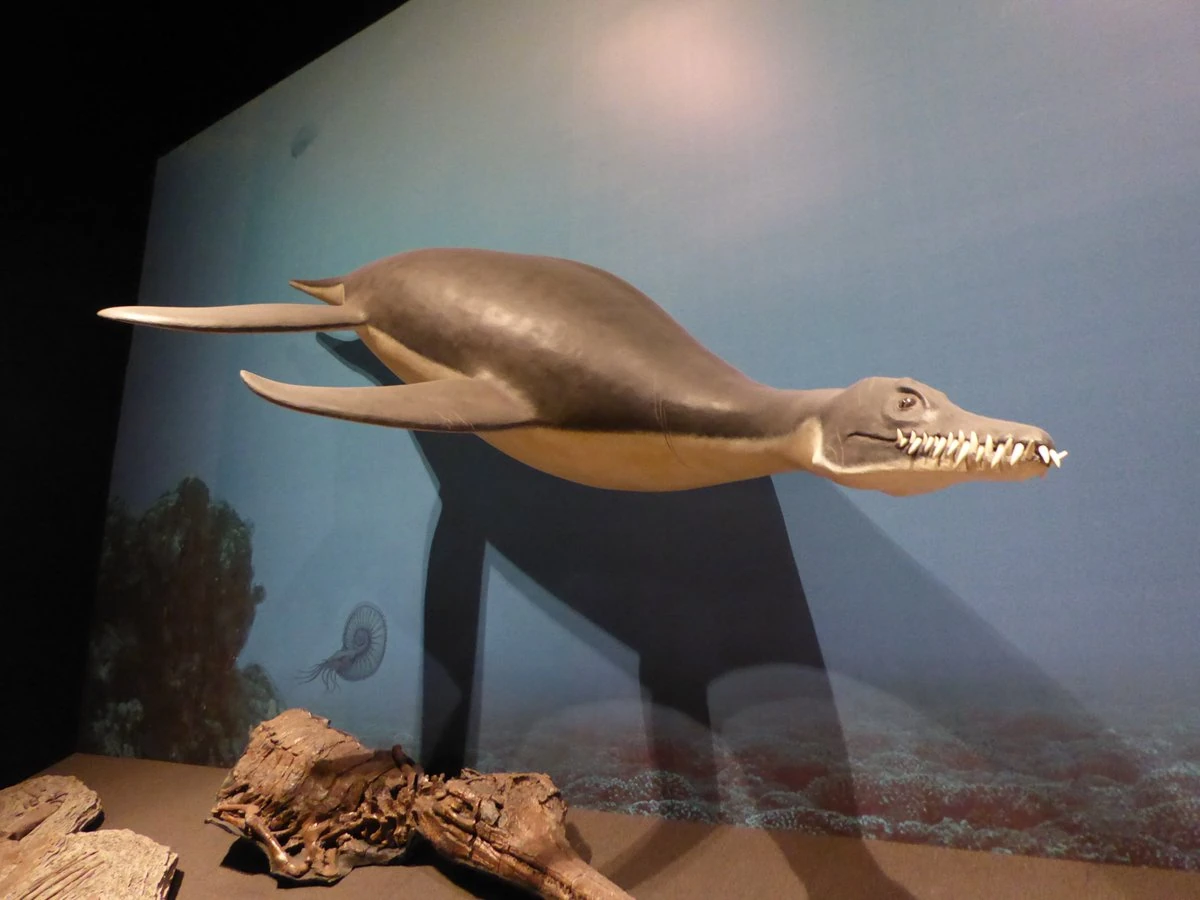 Edgarosaurus | Animals Wiki | Fandom