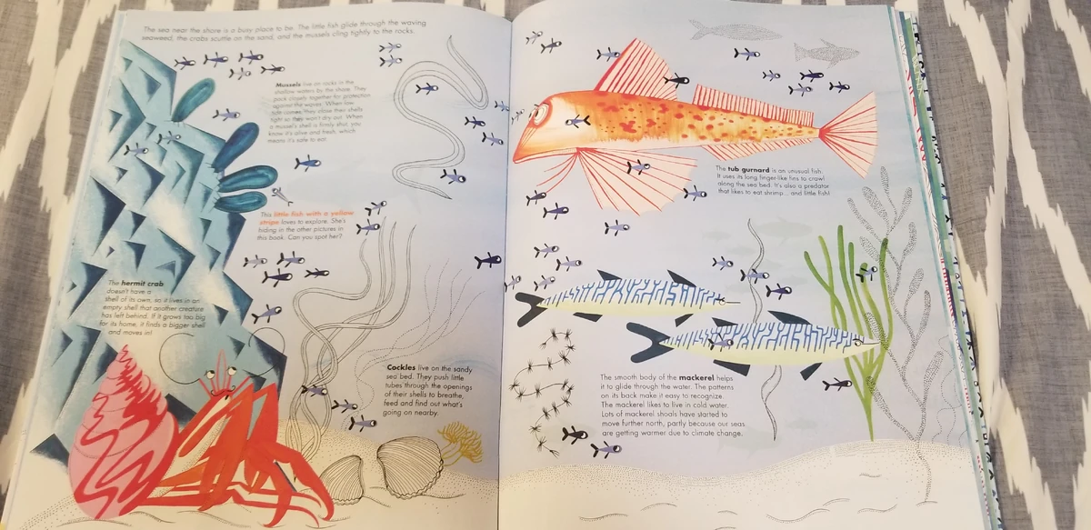 List of Species in 1001 Fish | Animals Wiki | Fandom