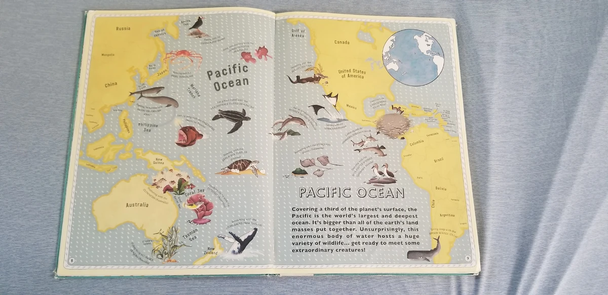 List of Species in Atlas of Ocean Adventures | Animals Wiki | Fandom