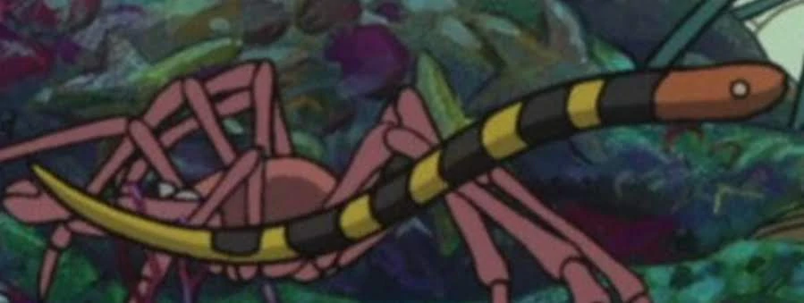 Banded Snake Eel | Animals Wiki | Fandom