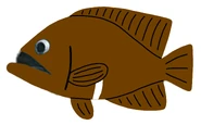 List of Species seen in Finding Nemo | Animals Wiki | Fandom