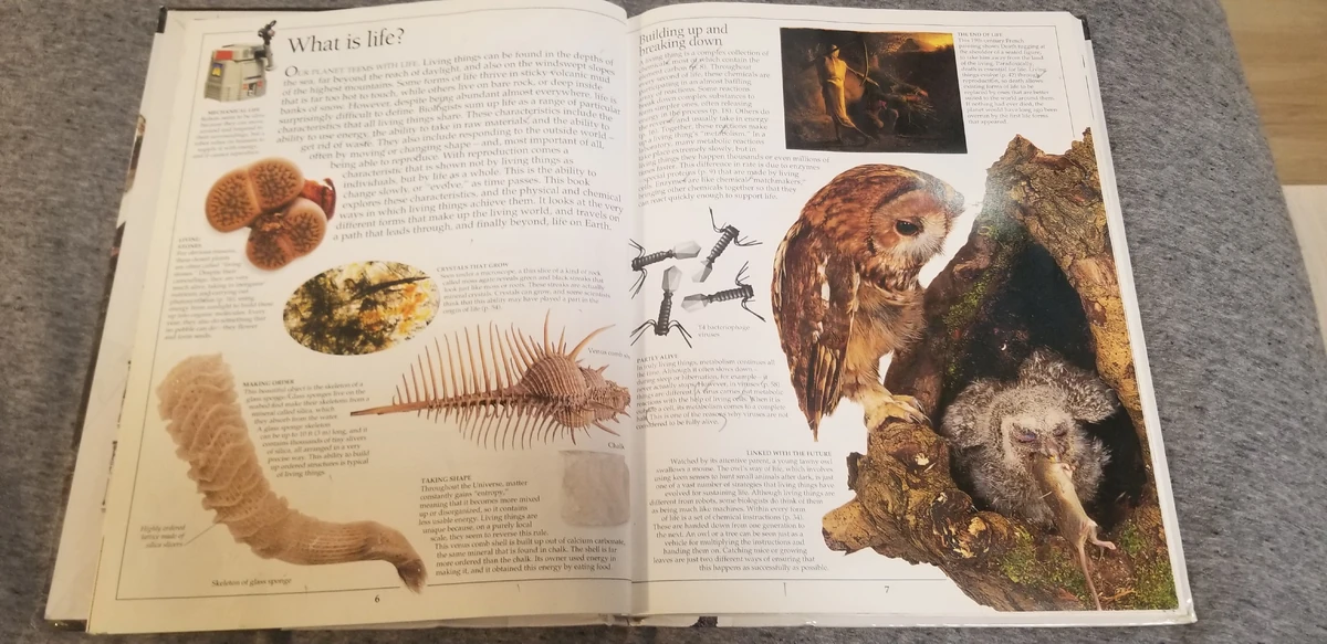 List of Species in DK Eyewitness Books Life | Animals Wiki | Fandom