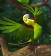 List of Species from Rio | Animals Wiki | Fandom