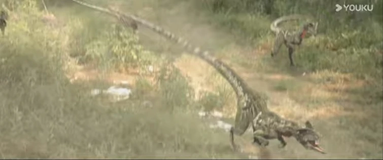 Sinosaurus | Animals Wiki | Fandom