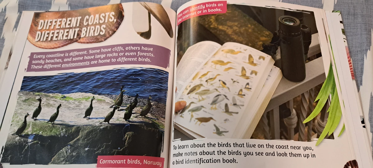 List of Species in Coast Explorer Birds | Animals Wiki | Fandom