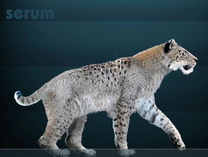 Homotherium | Animals Wiki | Fandom