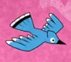 Blue Jay | Animals Wiki | Fandom