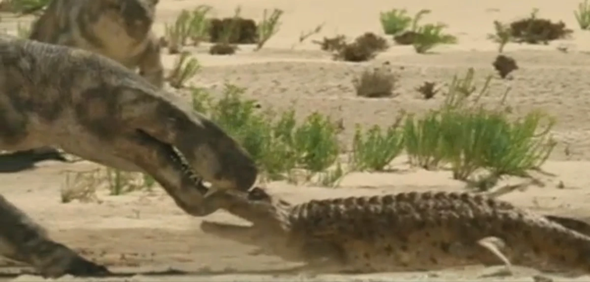 Rhinesuchus | Animals Wiki | Fandom