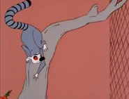 List of Species from The Simpsons | Animals Wiki | Fandom