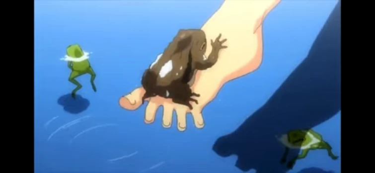 Japanese common toad | Animals Wiki | Fandom