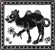 Ypotryll | Animals Wiki | Fandom