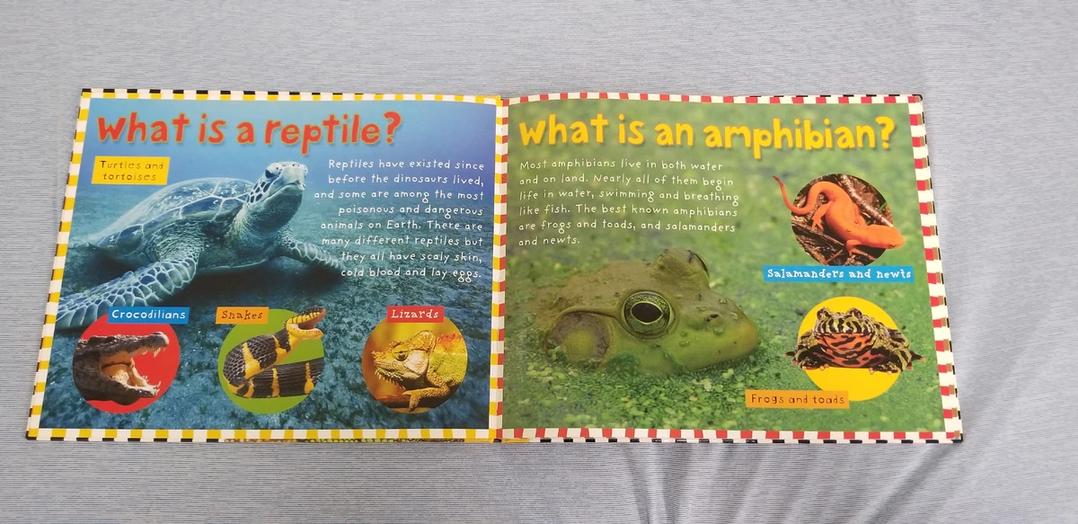 List of Species in Reptiles (Smart Kids) | Animals Wiki | Fandom