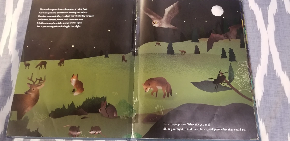 List of Species in Animals in the Night | Animals Wiki | Fandom