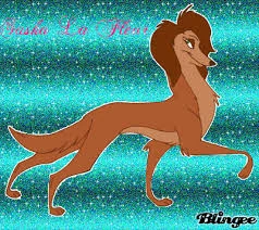 Irish Setter | Animals Wiki | Fandom