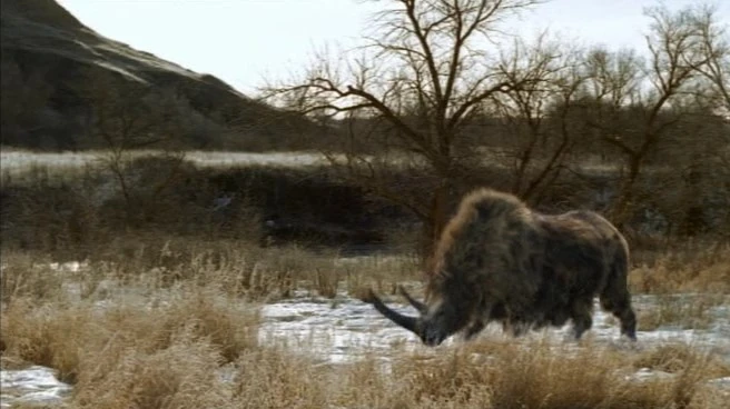 The Smilodon King | Animals Wiki | Fandom