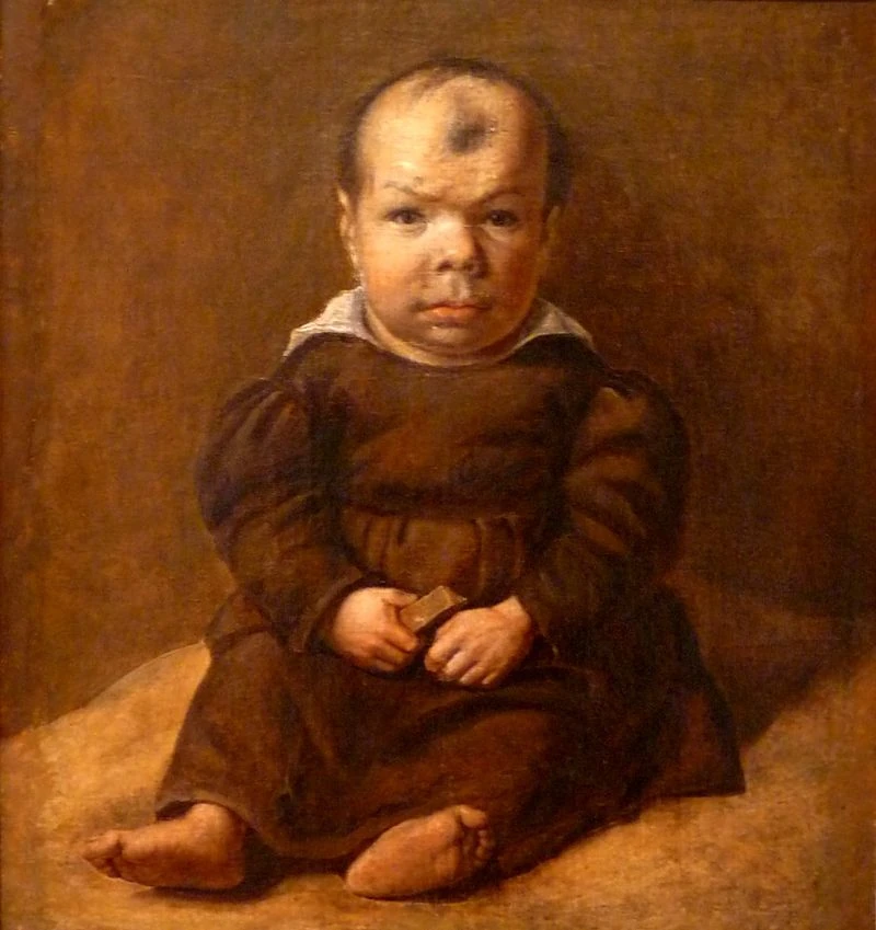 Dwarf | Animals Wiki | Fandom