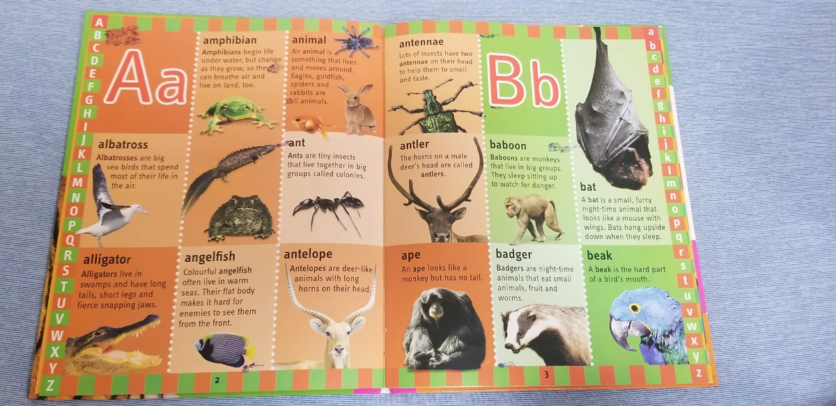 List of Species My First Animal Picture Dictionary | Animals Wiki | Fandom