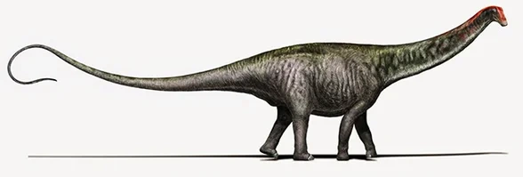 Brontosaurus | Animals Wiki | Fandom