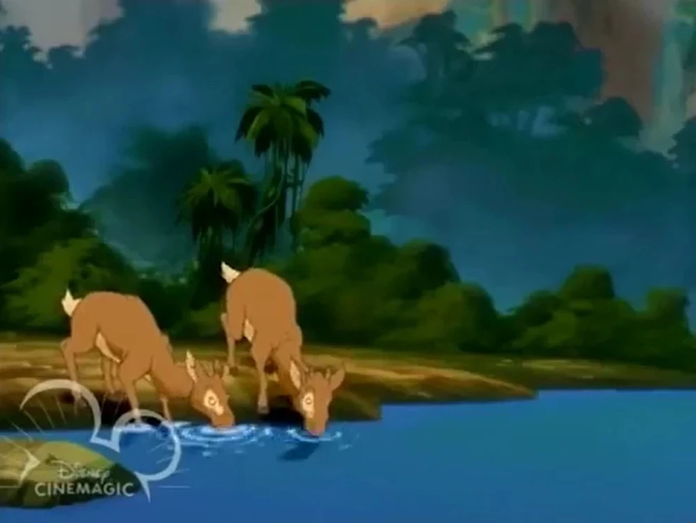 Common Duiker | Animals Wiki | Fandom