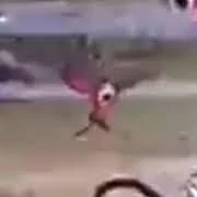 Viper Dogfish | Animals Wiki | Fandom