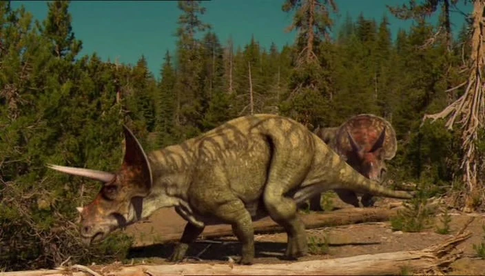 Triceratops | Animals Wiki | Fandom