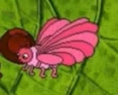 Flatid Leaf Bug | Animals Wiki | Fandom