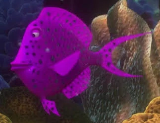 Purple Tang | Animals Wiki | Fandom