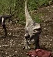 Finding Nemo (Cretaceous Style) | Animals Wiki | Fandom