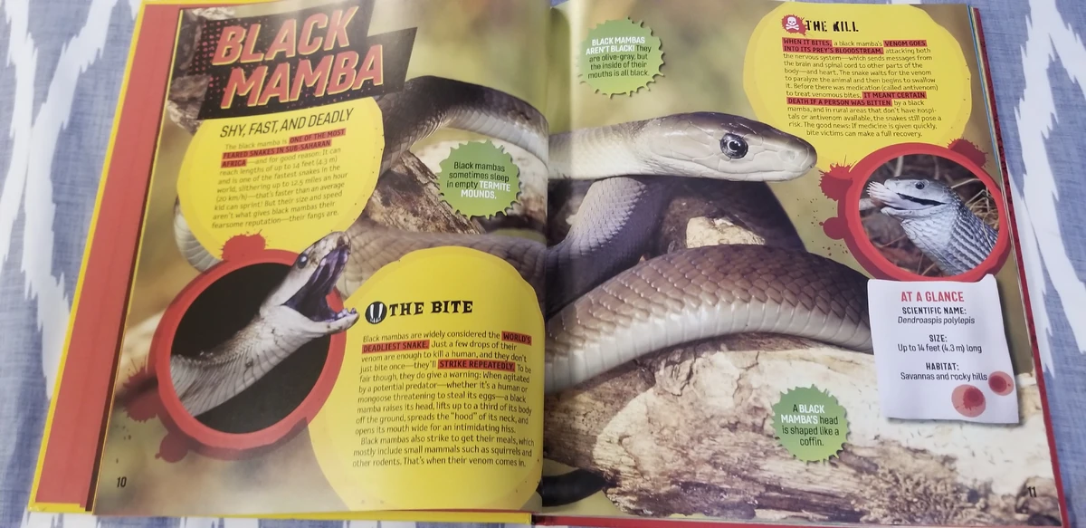 List of Species in Bite, Sting, Kill! | Animals Wiki | Fandom