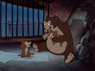 List of Species seen in Dumbo | Animals Wiki | Fandom