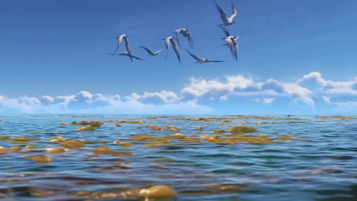 Least Tern | Animals Wiki | Fandom