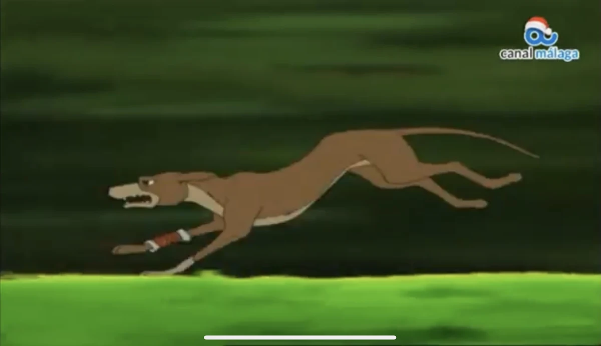 Greyhound | Animals Wiki | Fandom