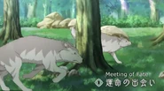Hokkaido Wolf | Animals Wiki | Fandom