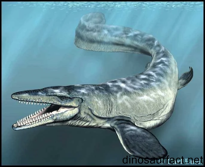 Hainosaurus | Animals Wiki | Fandom