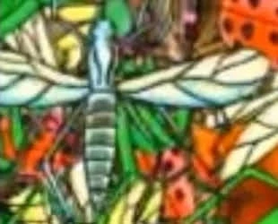 Giant Mayfly | Animals Wiki | Fandom