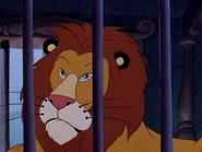 List of Species seen in Dumbo | Animals Wiki | Fandom